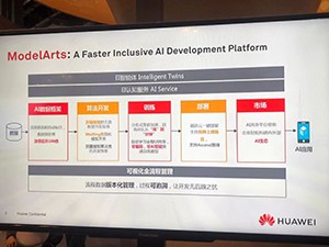 Winning the Next Decade on HUAWEI CLOUD AI