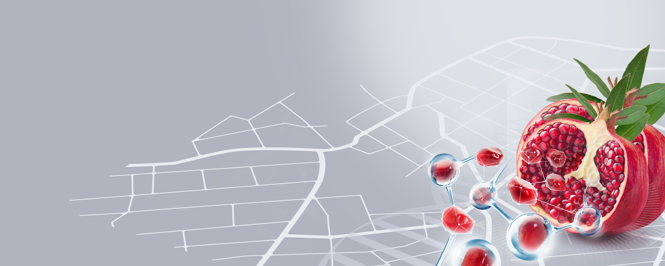 Faster Drug Discovery with Pangu Drug Molecule Model_HUAWEI CLOUD